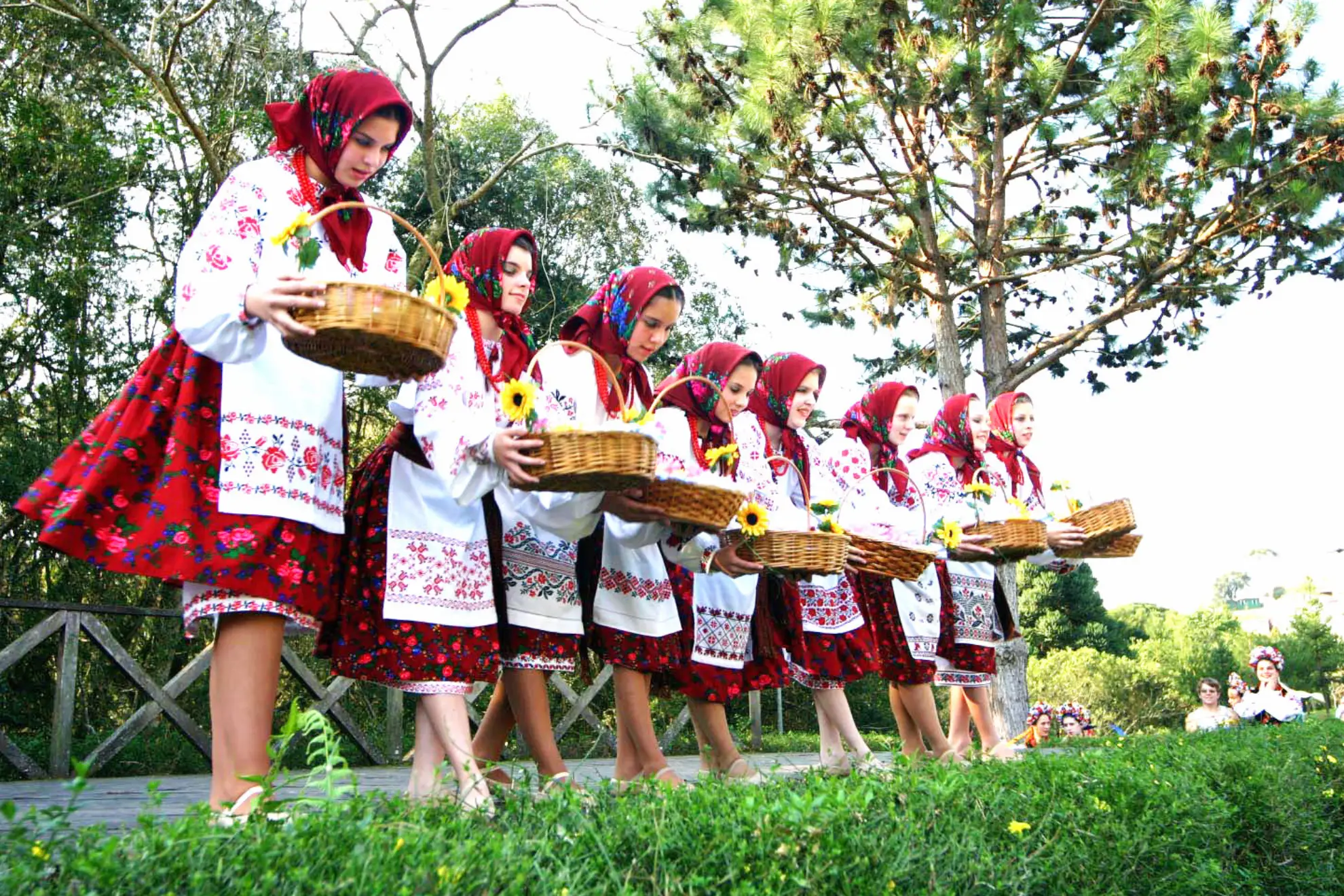 Cultura Polonesa em Curitiba: Festivais, Gastronomia e Tradições